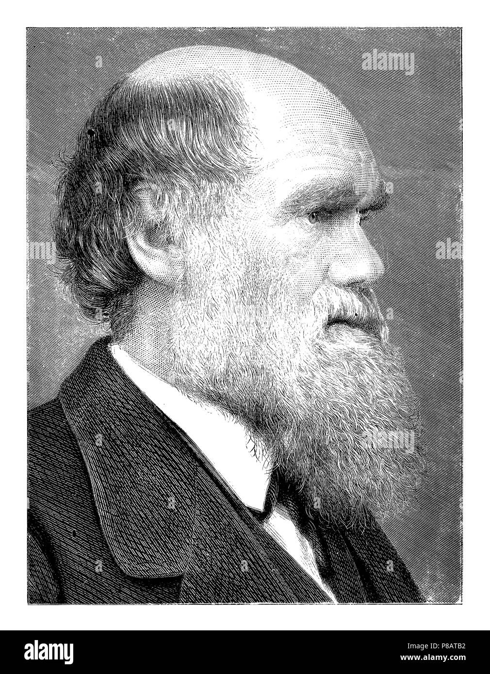 Charles darwin drawing Cut Out Stock Images & Pictures - Alamy