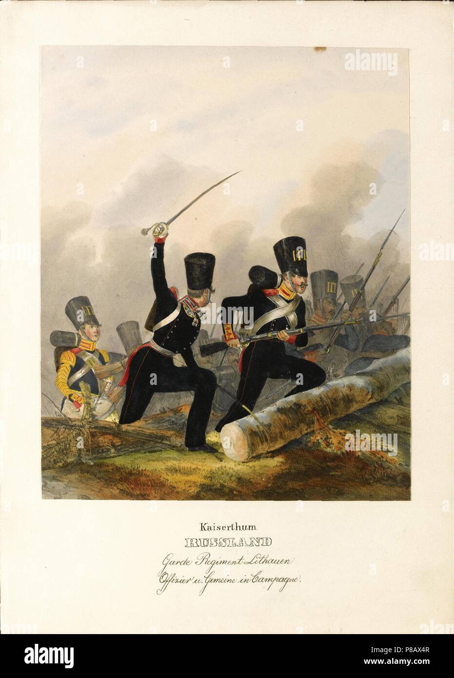 Lifeguard regiment hi-res stock photography and images - Alamy