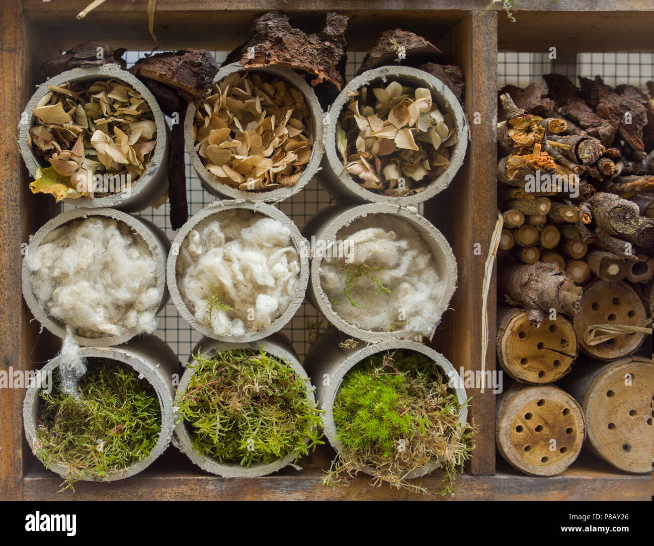 Wooden Insect house Stock Photo - Alamy