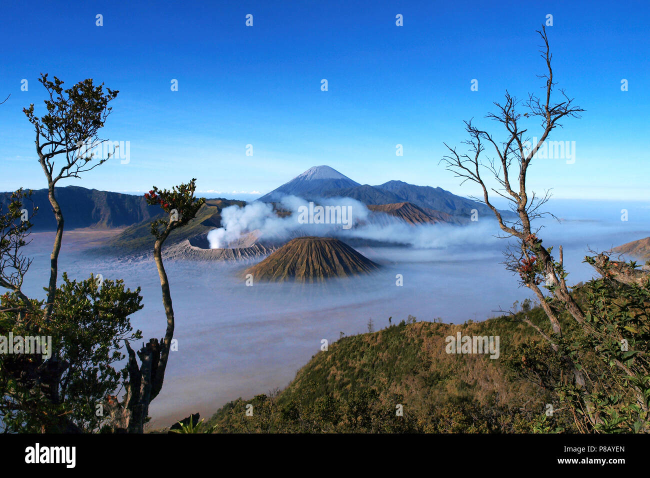 Mount Bromo is an active volcano in East Java, Indonesia. The massif ...