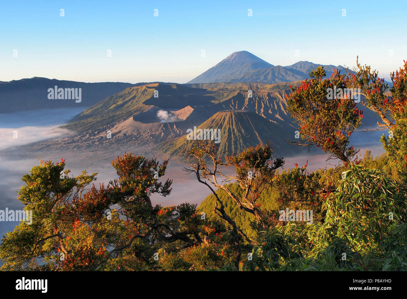 Mount Bromo is an active volcano in East Java, Indonesia. The massif ...
