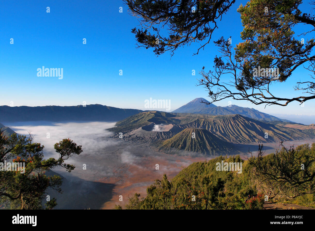 Mount Bromo is an active volcano in East Java, Indonesia. The massif ...