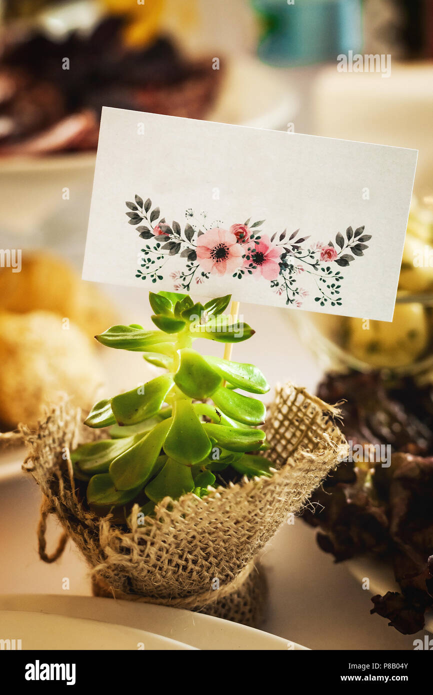 Cactus flower table setting hi-res stock photography and images - Alamy