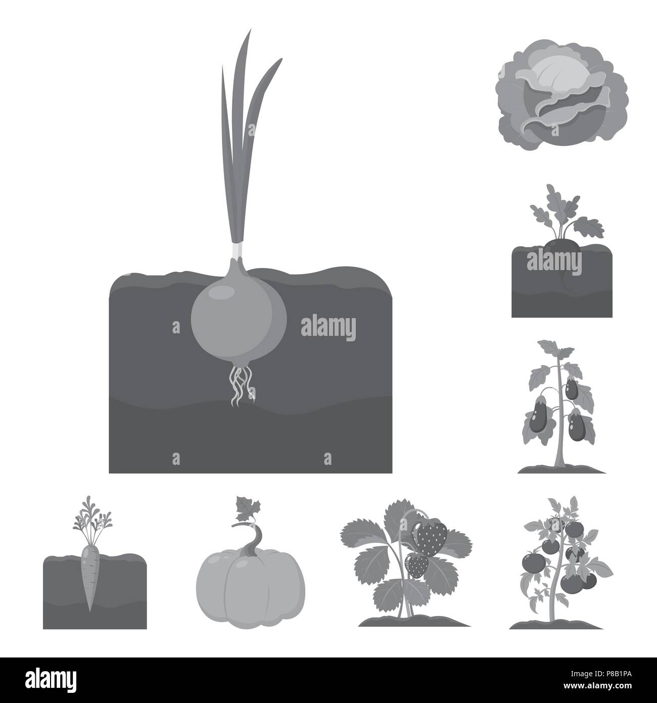 Plant, vegetable monochrome icons in set collection for design. Garden ...