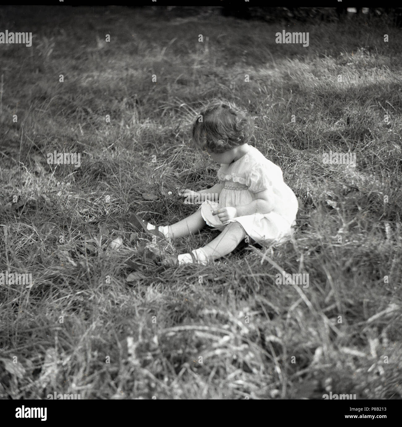 child in field picking daises Stock Photo - Alamy