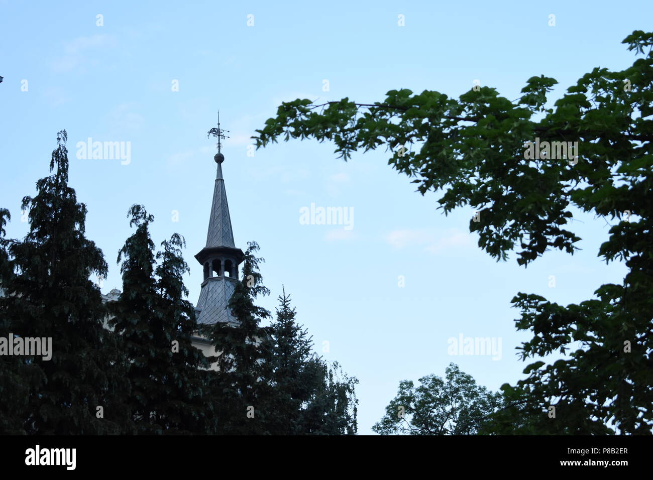 Tower in the woods hi-res stock photography and images - Alamy