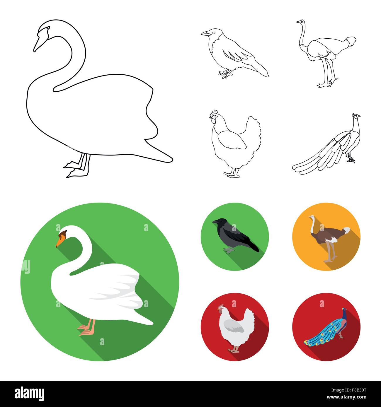 Crow, ostrich, chicken, peacock. Birds set collection icons in outline ...