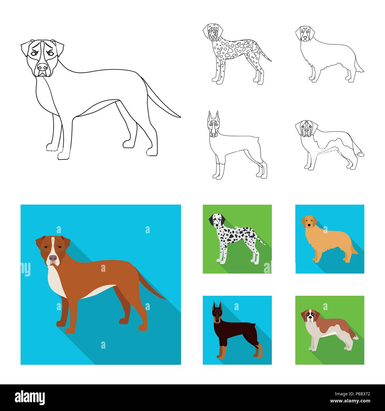 Dog breeds outline,flat icons in set collection for design.Dog pet ...