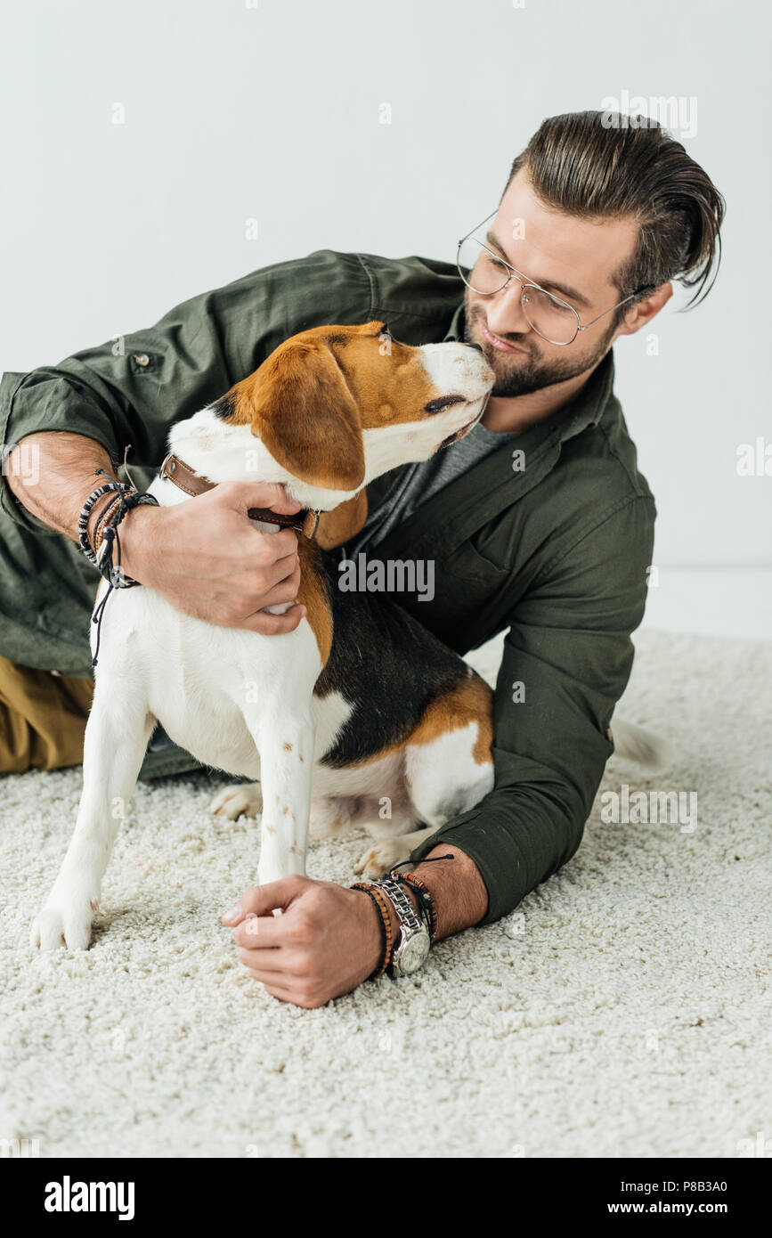 handsome man kissing cute beagle Stock Photo - Alamy