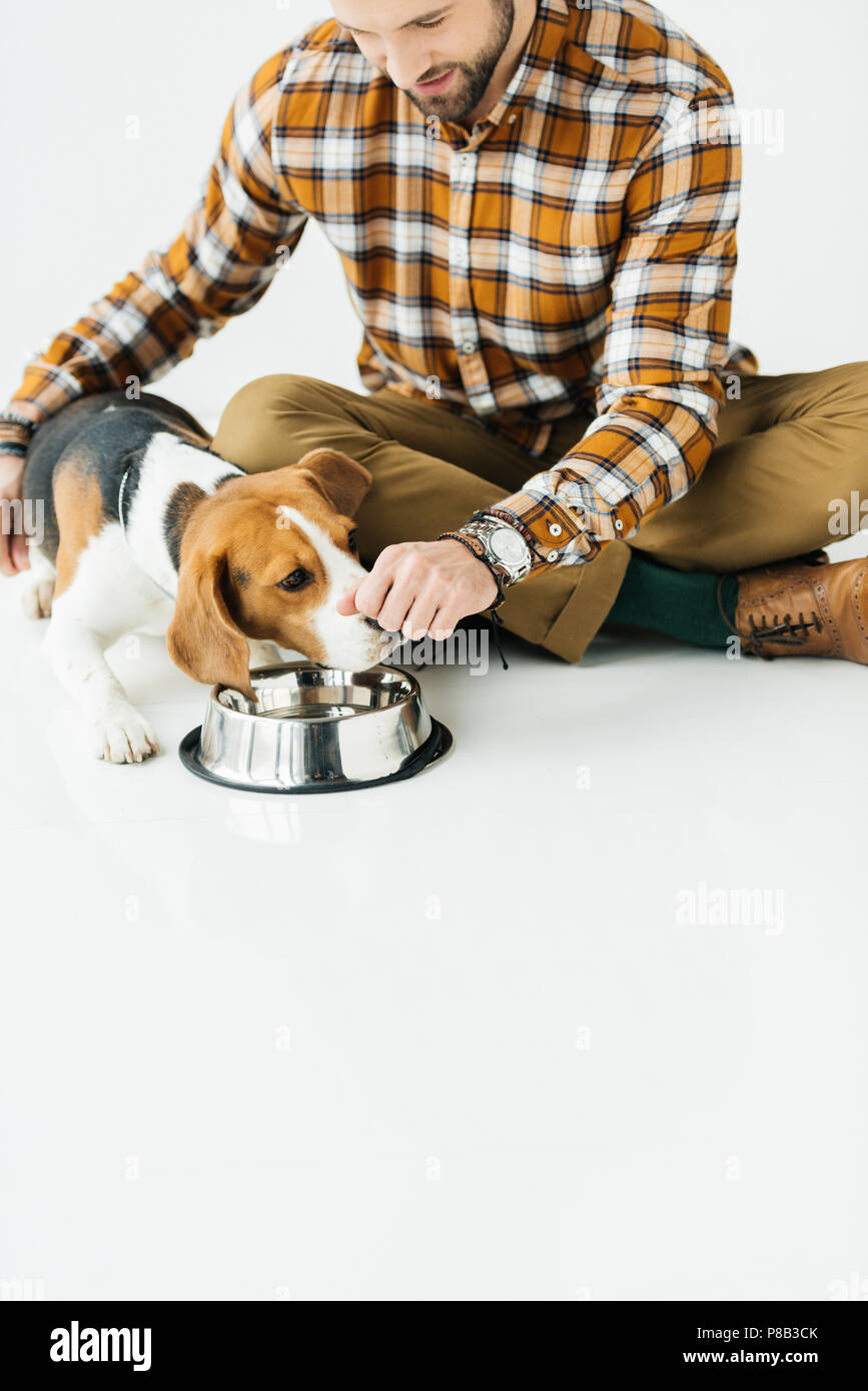 dog sniffing food in man hand Stock Photo - Alamy