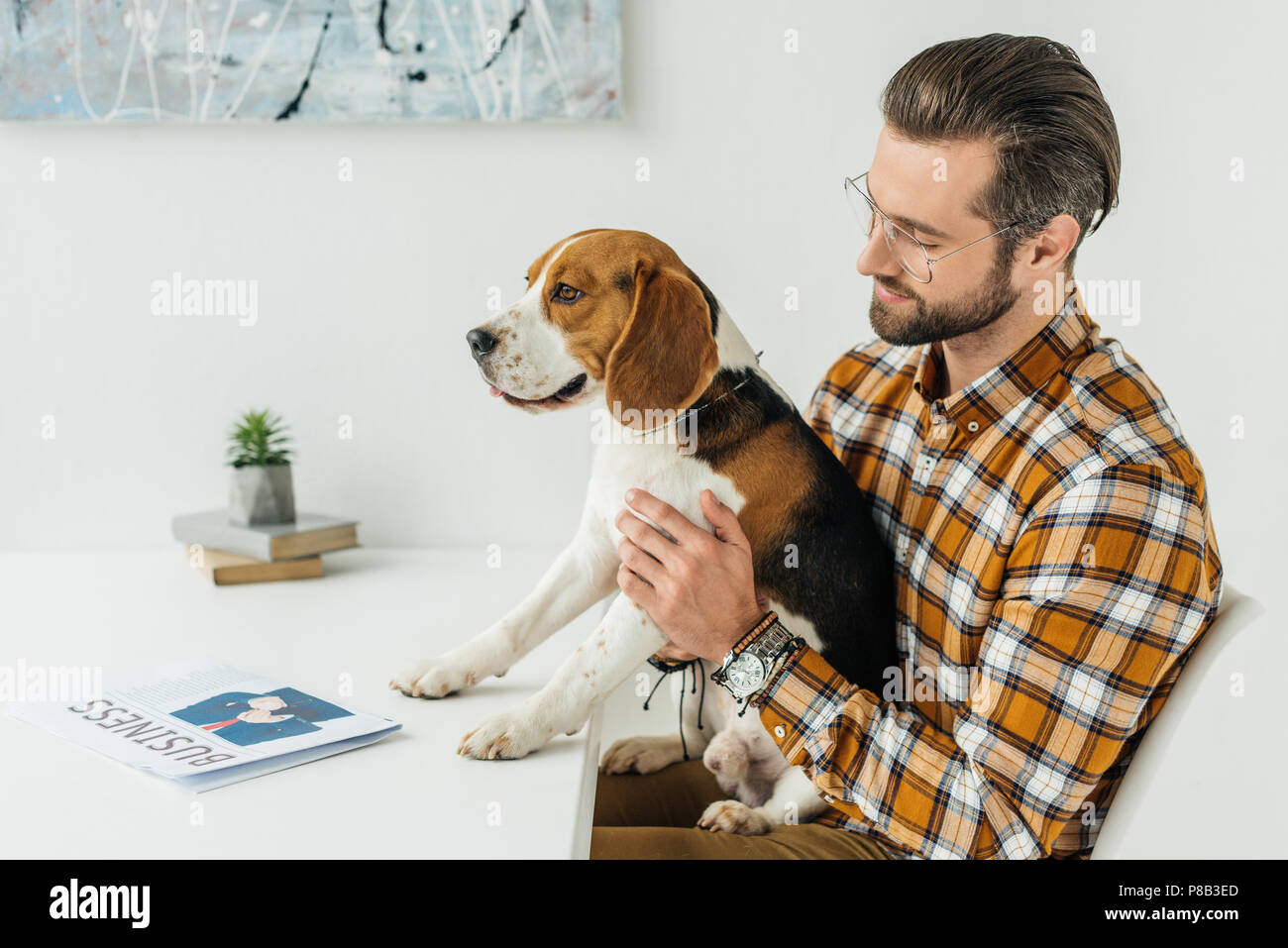 side view of businessman holding cute beagle Stock Photo - Alamy