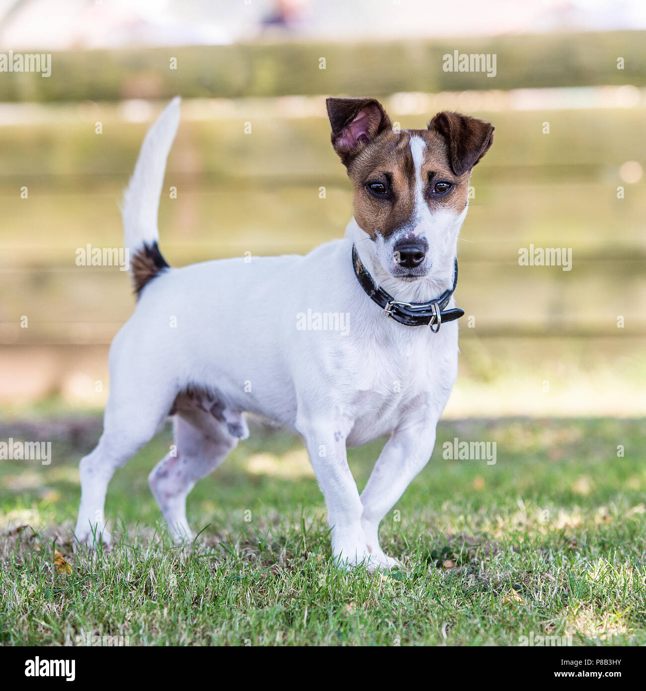 Undocked Stock Photos & Undocked Stock Images - Alamy