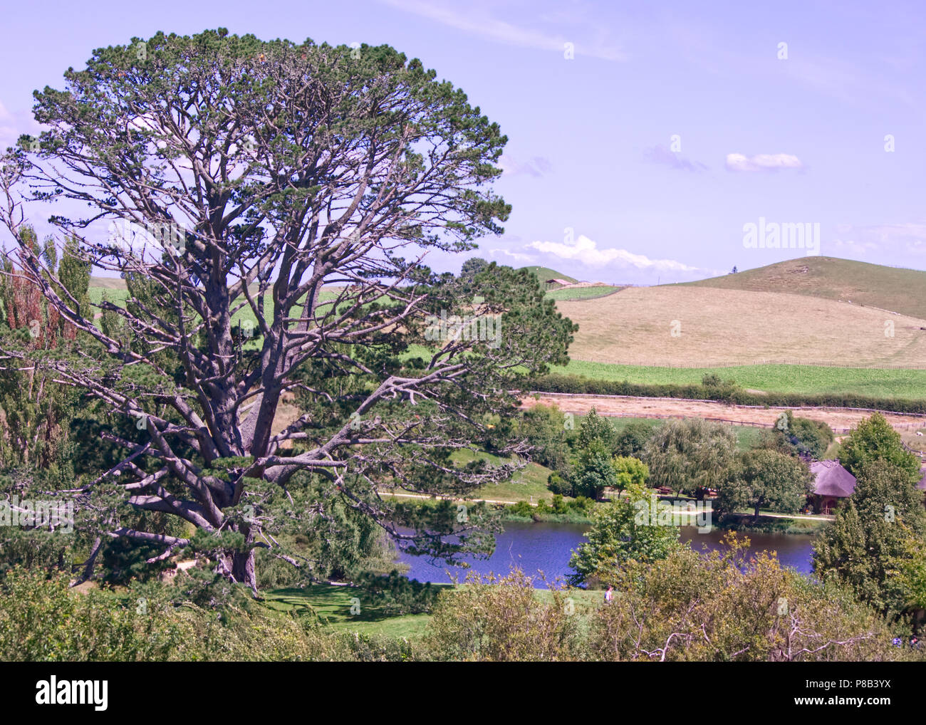 Hobbit tree hi-res stock photography and images - Alamy