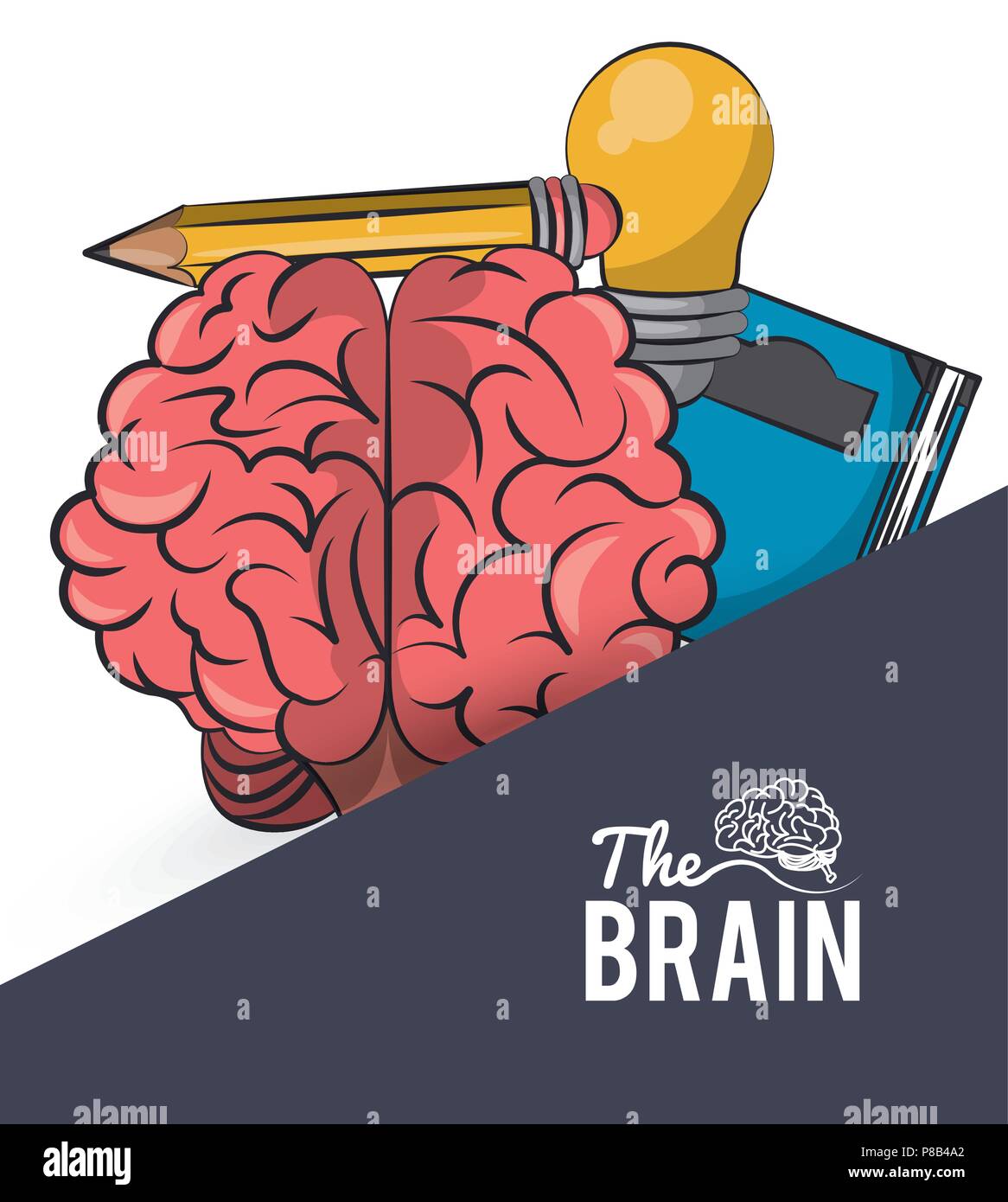 The brain concept Stock Vector Image & Art - Alamy