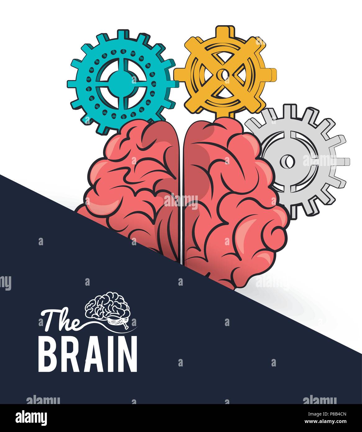 The brain concept Stock Vector Image & Art - Alamy