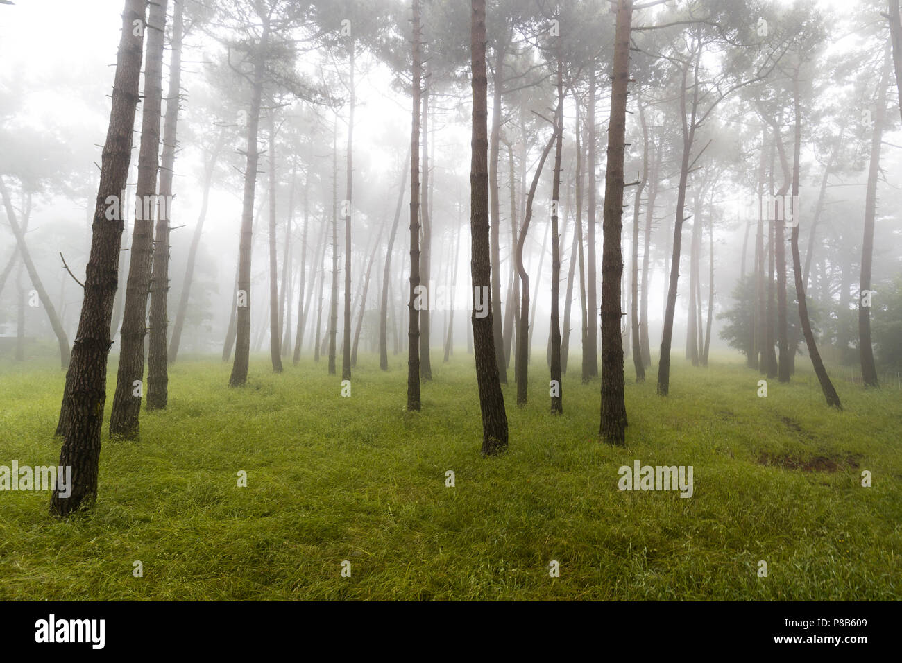 In cap frehel hi-res stock photography and images - Alamy