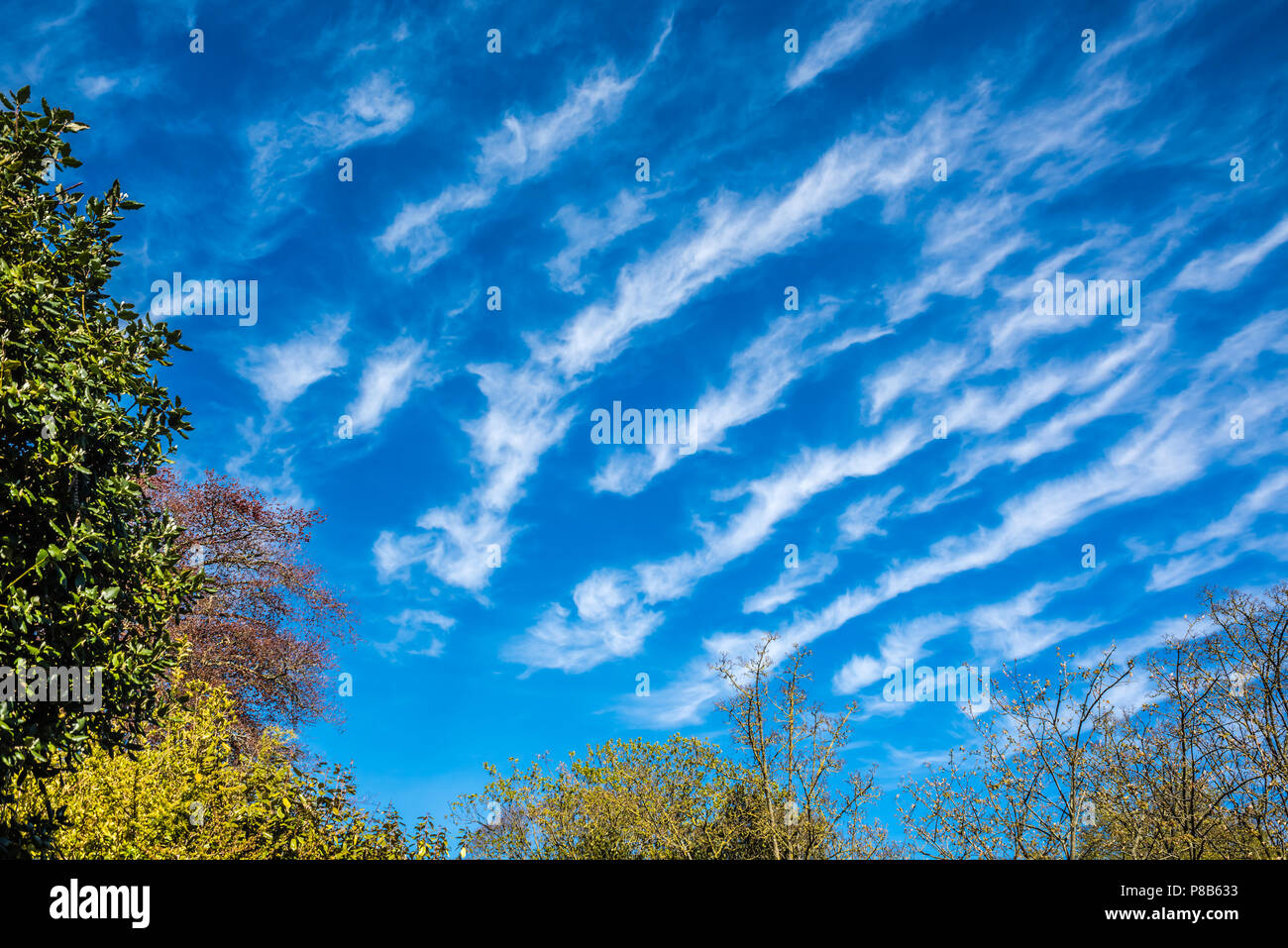 Mares tails clouds hi-res stock photography and images - Alamy