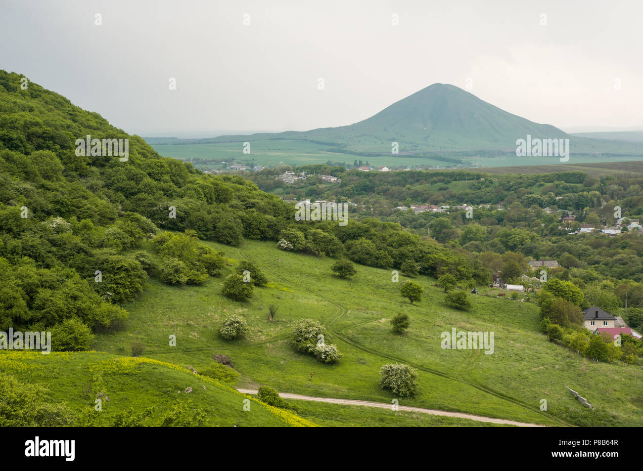 scenic view of green valley covered with trees Stock Photo - Alamy