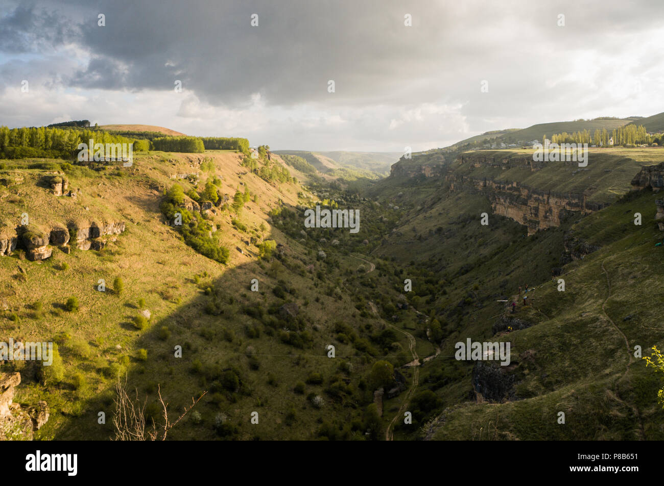 scenic view of green valley covered with trees Stock Photo - Alamy