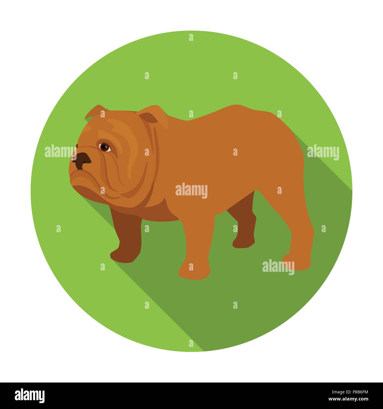 English bulldog icon in flat style isolated on white background ...