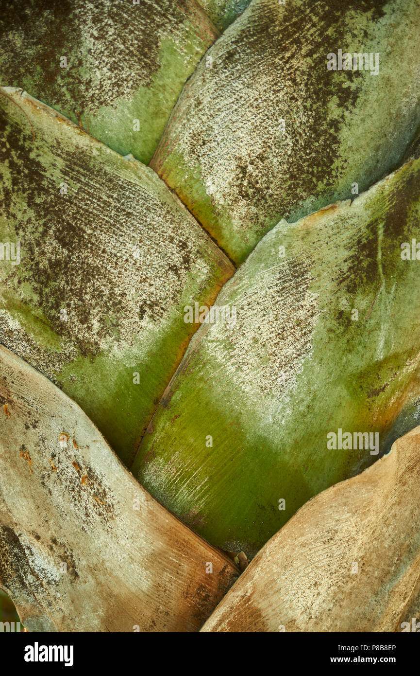 Closeup gardening hi-res stock photography and images - Alamy