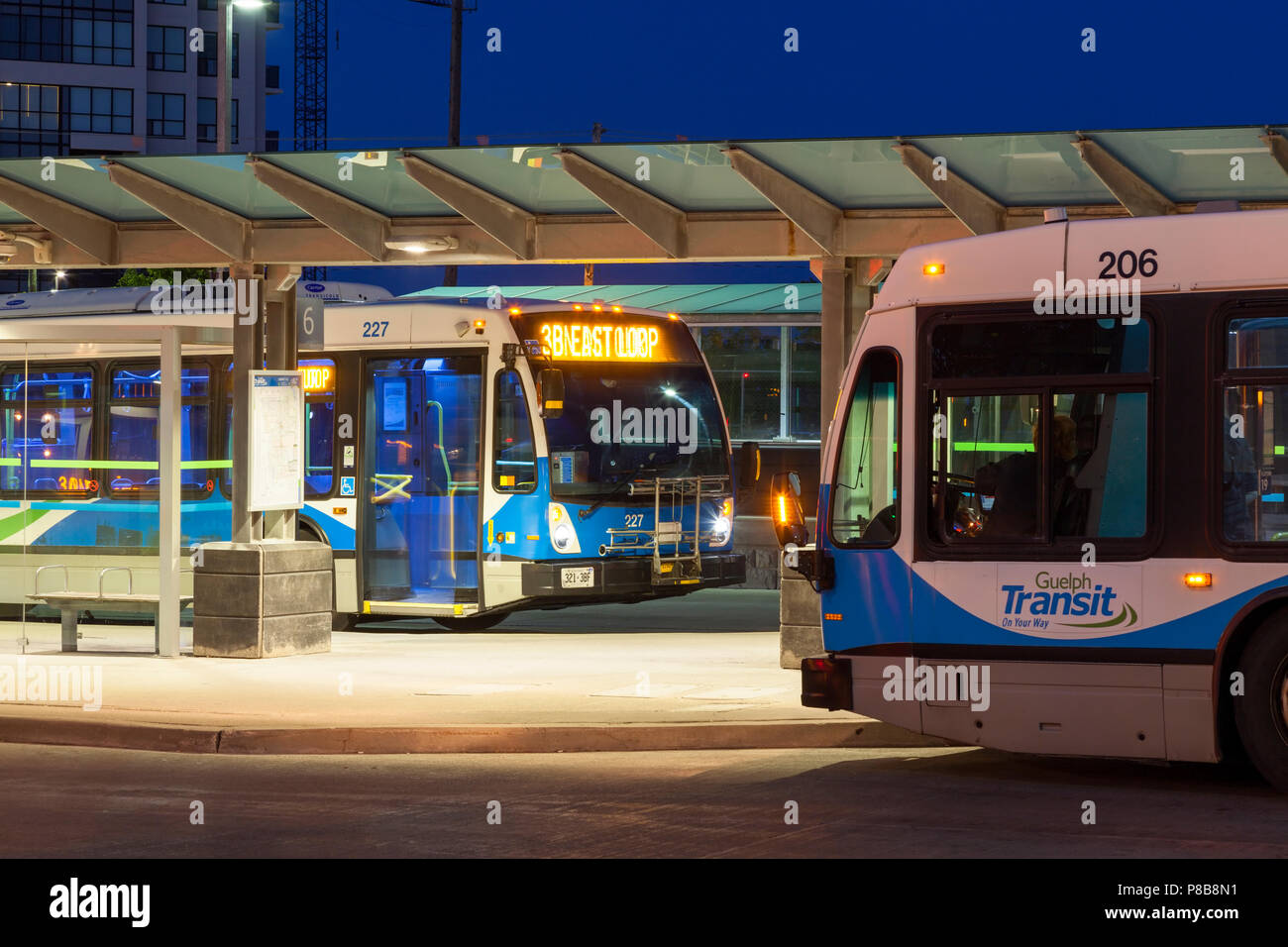 Guelph Transit Commission buses lined up at the Guelph Central Station ...