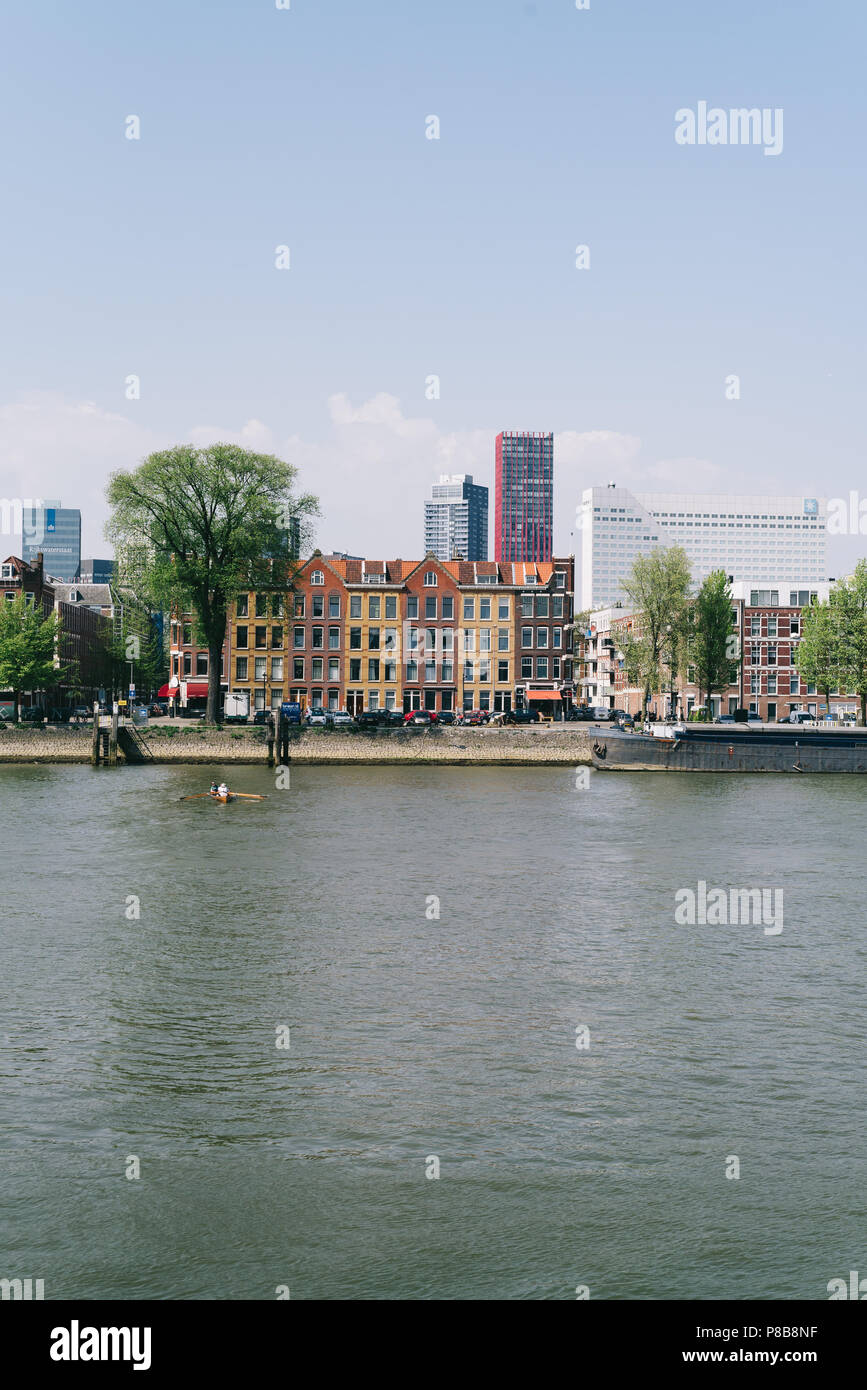 Rotterdam parks photography hi-res stock photography and images - Alamy