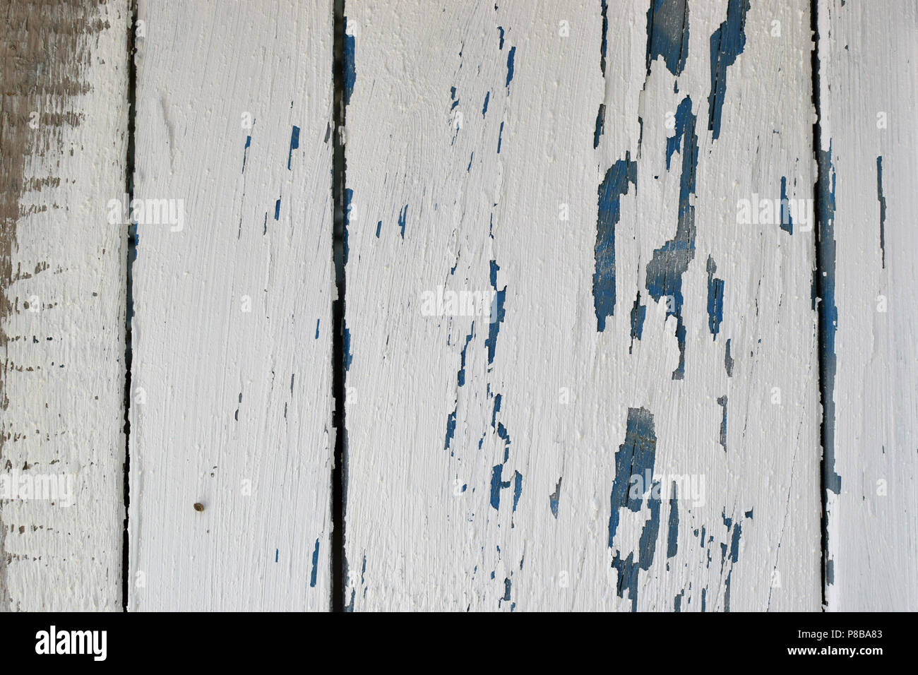 Weathered wood texture with chipped paint. Abstract white and blue ...