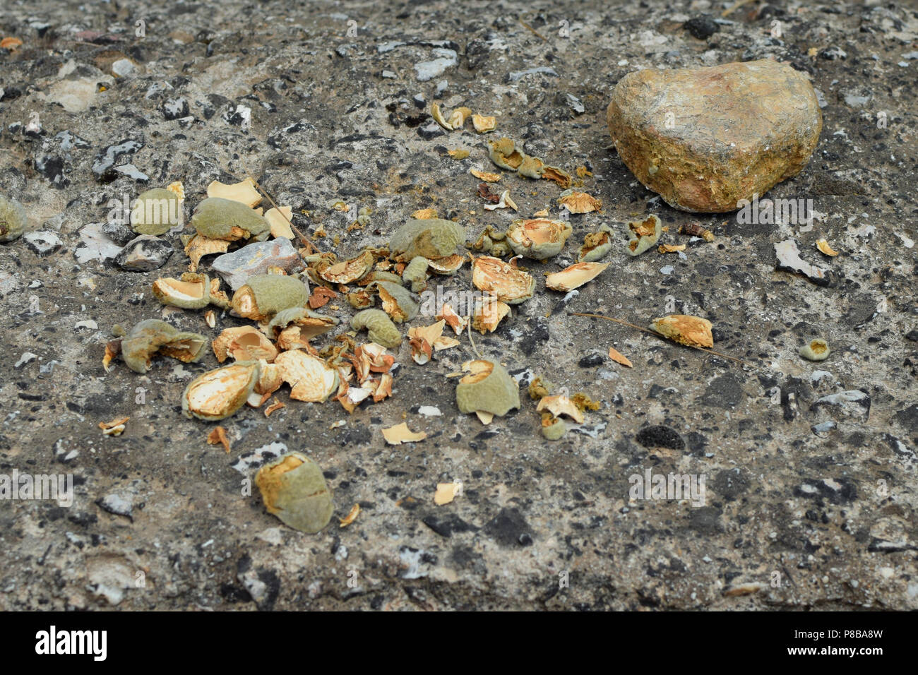 Smashed almond hi-res stock photography and images - Alamy