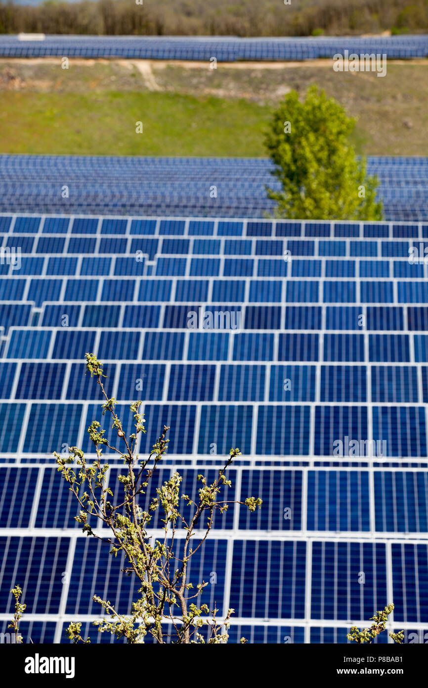 Sun Aeon Solar System