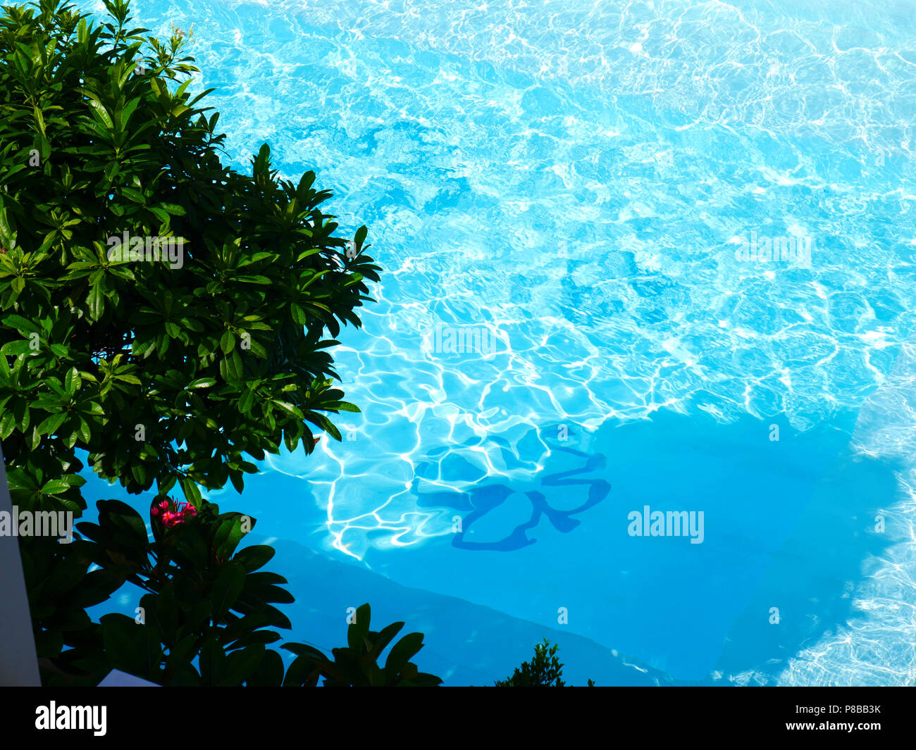 Beautiful swimming pool in top view Stock Photo - Alamy