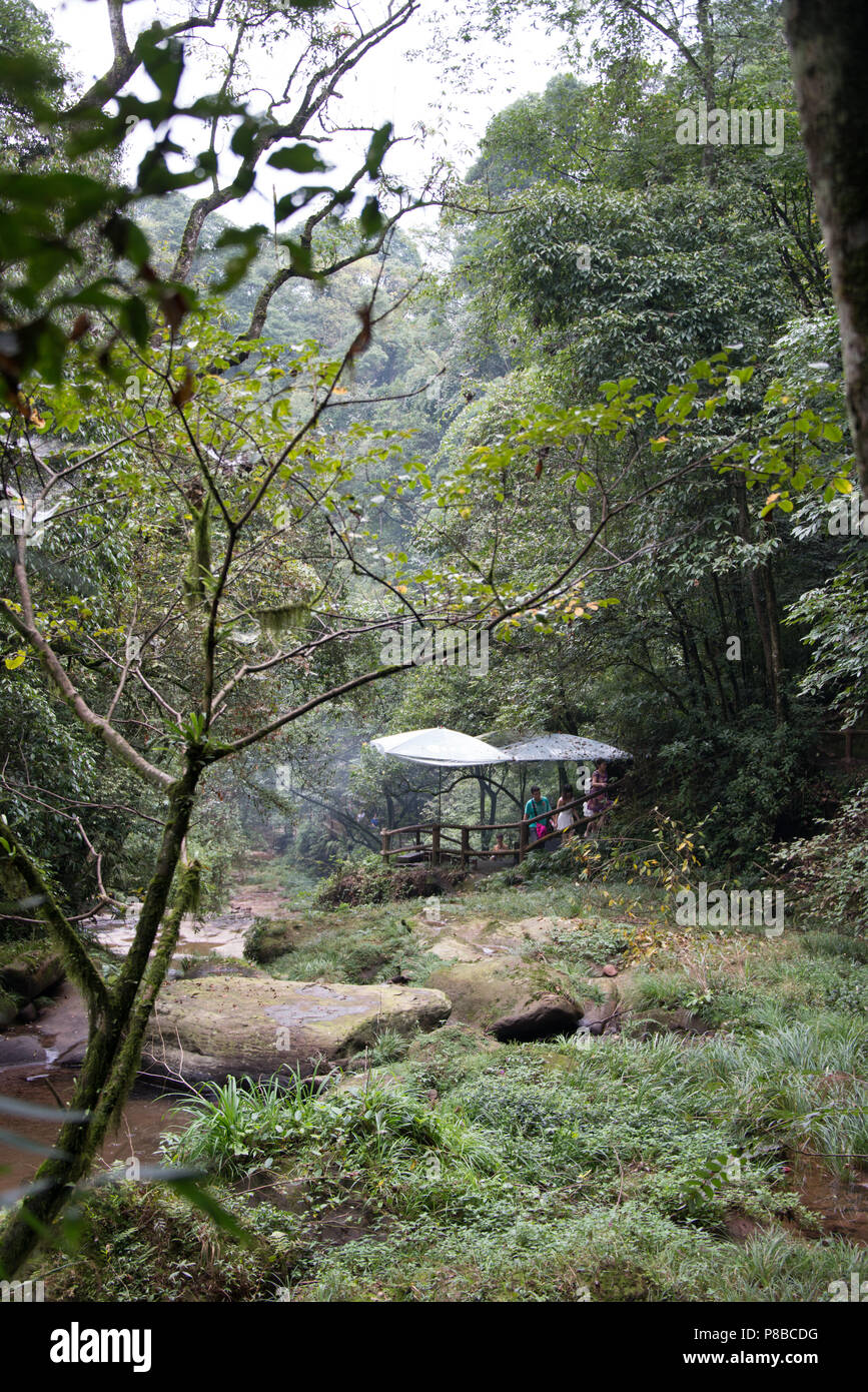 The gorges and mountainous walk through Bifengxia also known as the ...