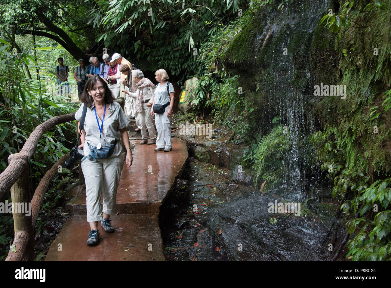 The gorges and mountainous walk through Bifengxia also known as the ...