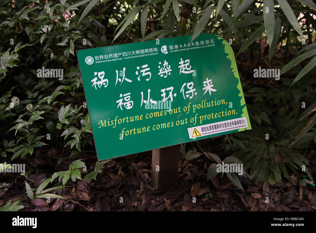 Chinese Signboards translated into english with information on the ...