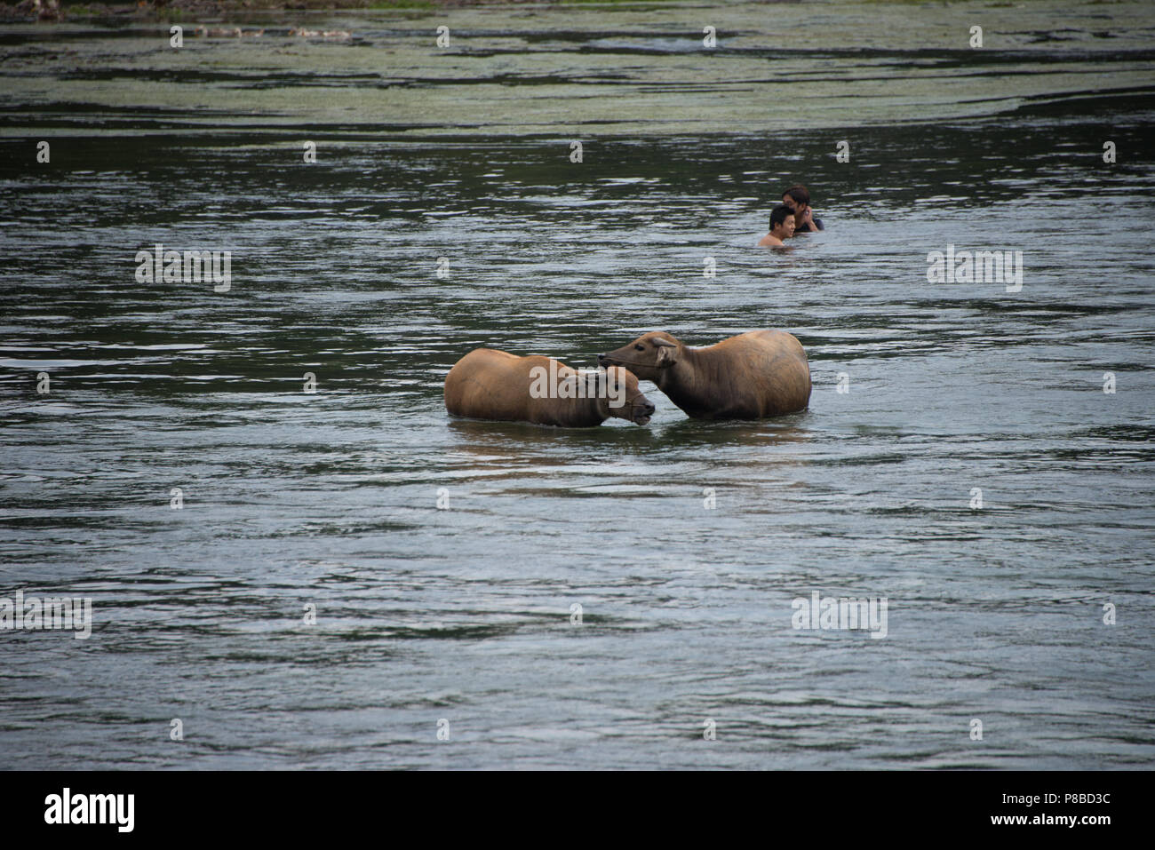 Karst guangxi zhuang, china hi-res stock photography and images - Alamy