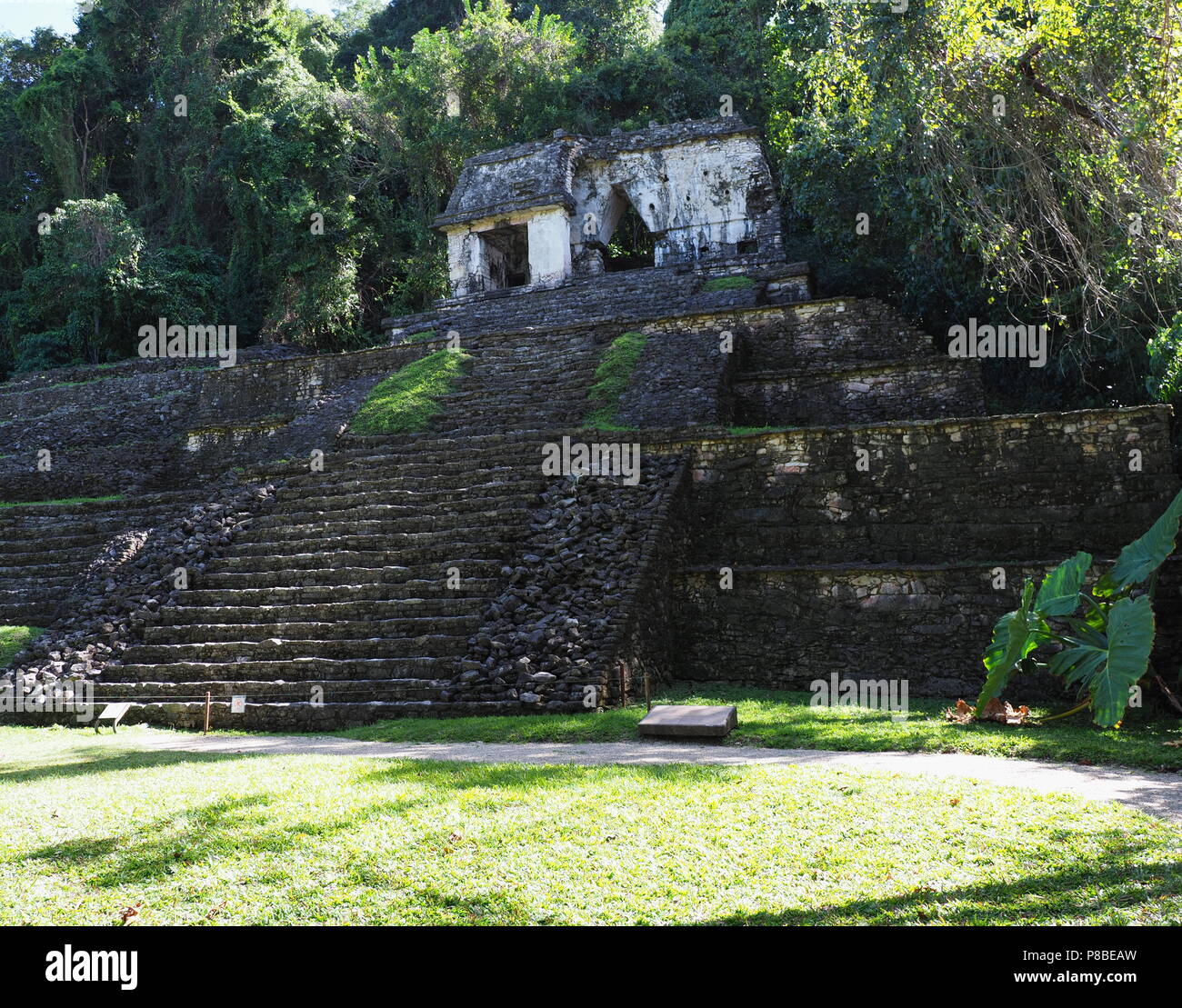 Fantastic stony pyramid at ancient mayan National Park of Palenque city ...