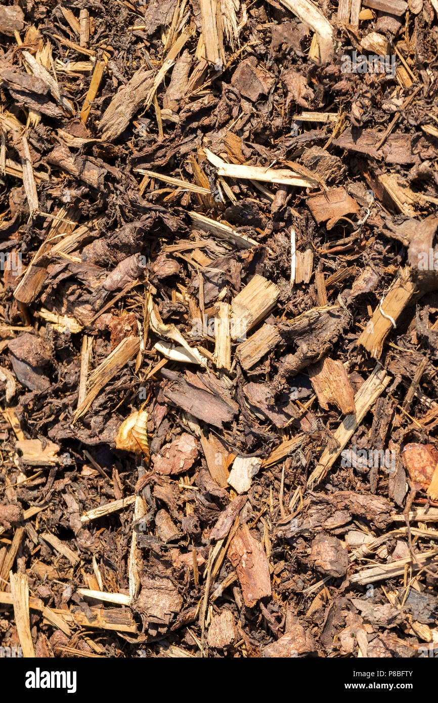 Bark chippings garden hi-res stock photography and images - Alamy