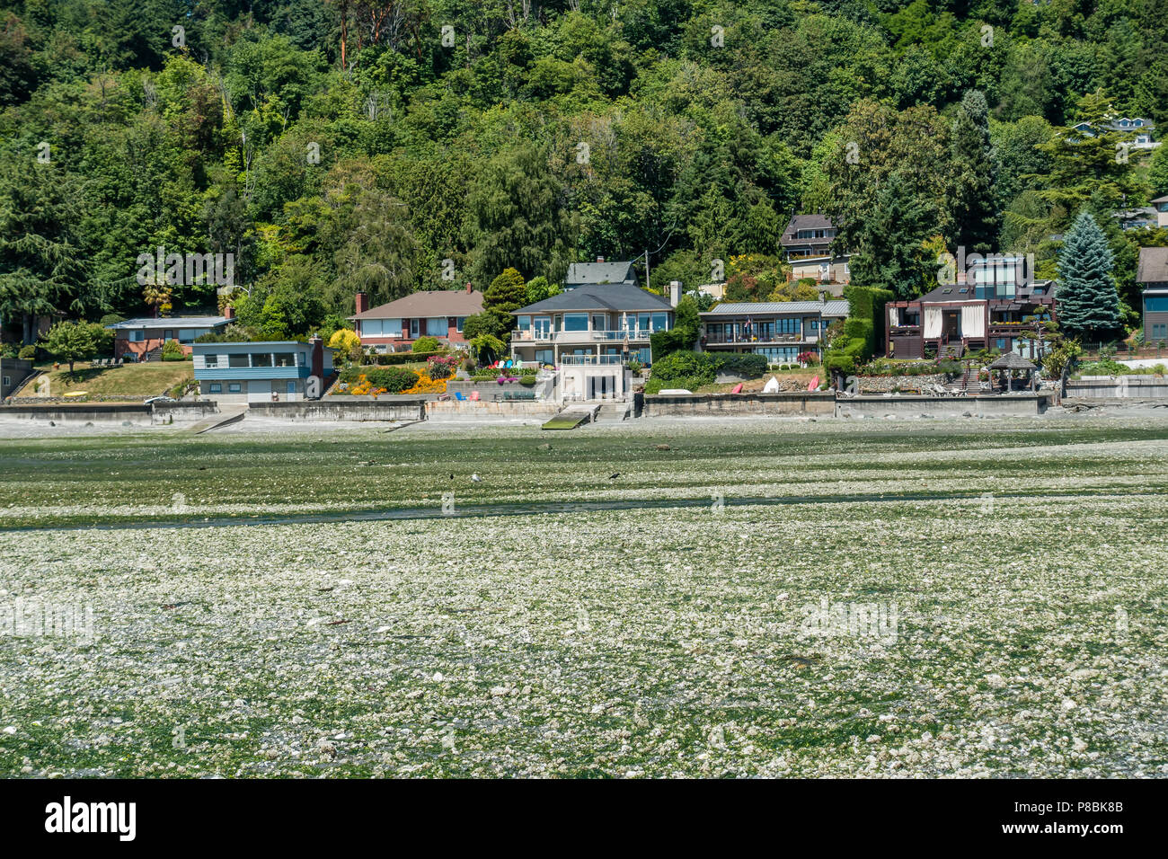 A view of waterfront homes in the Three Tree Point area of Burien ...