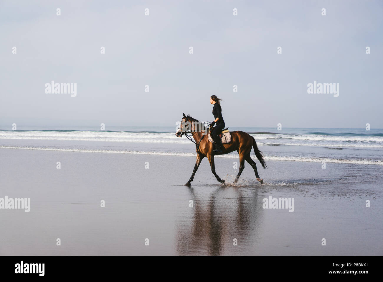 Side view female equestrian hi-res stock photography and images - Alamy
