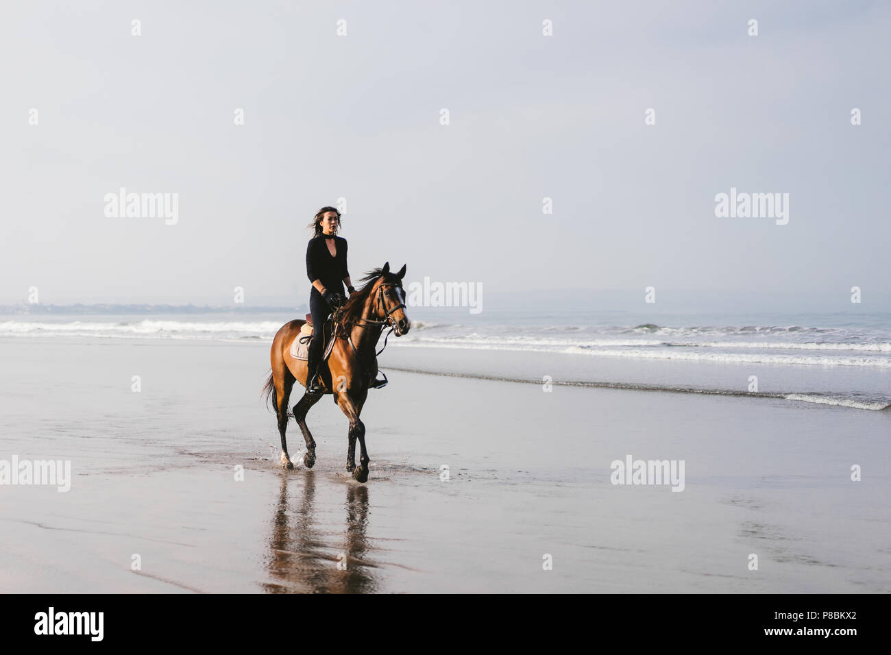 woman riding horse on sandy beach with ocean behind Stock Photo - Alamy