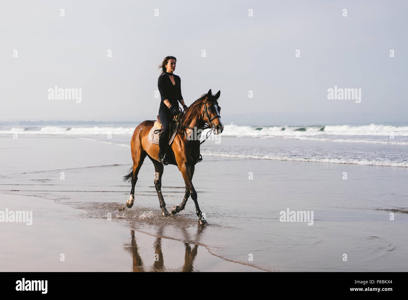 Female rider riding horse near hi-res stock photography and images - Alamy