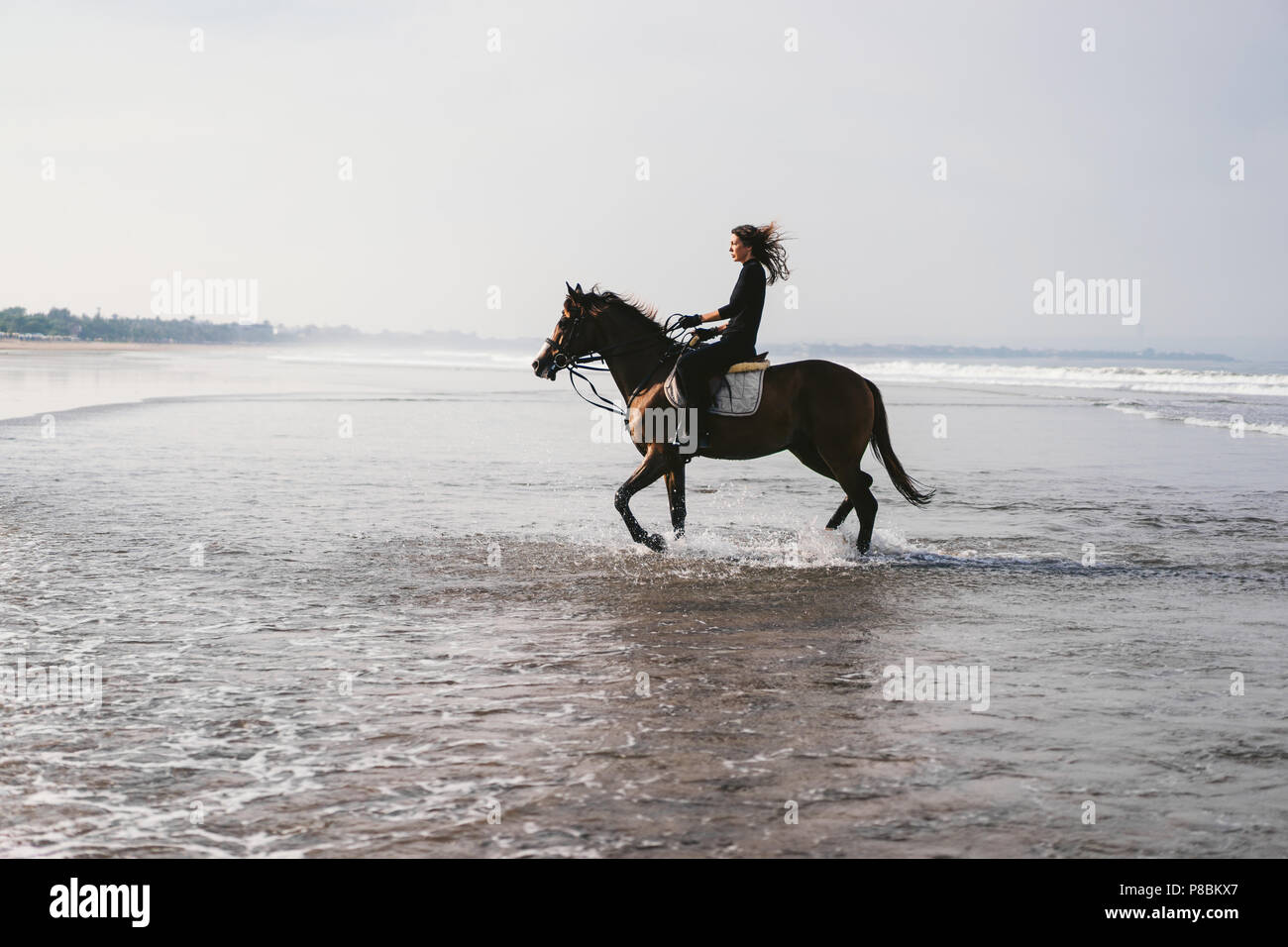 Riding horse in water hi-res stock photography and images - Alamy