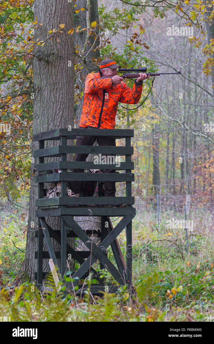 Aiming hunter hunting hi-res stock photography and images - Alamy