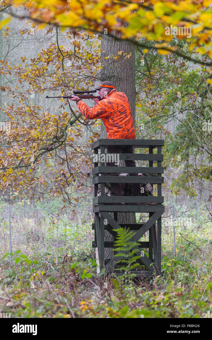 Shooting box hi-res stock photography and images - Alamy