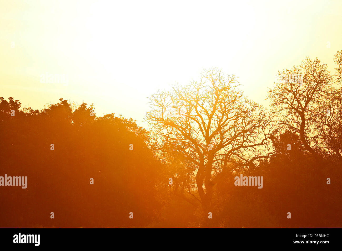 Shelter zimbabwe hi-res stock photography and images - Alamy