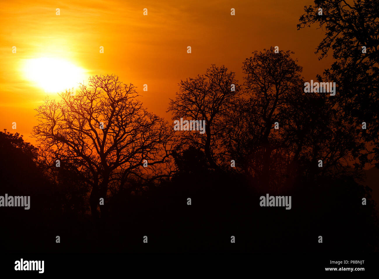 Shelter zimbabwe hi-res stock photography and images - Alamy