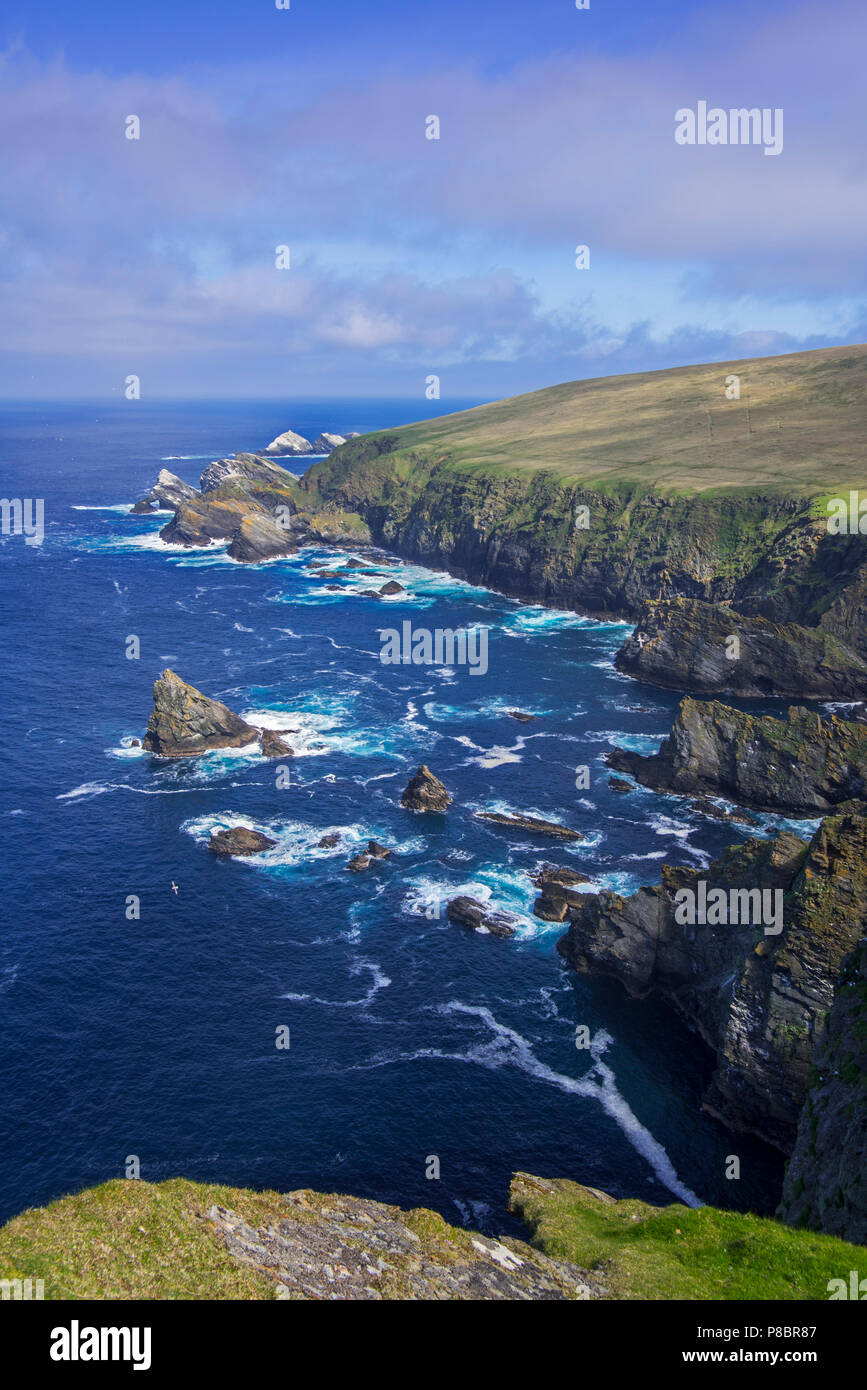 Spectacular coastline with sea cliffs and stacks, home to breeding sea ...