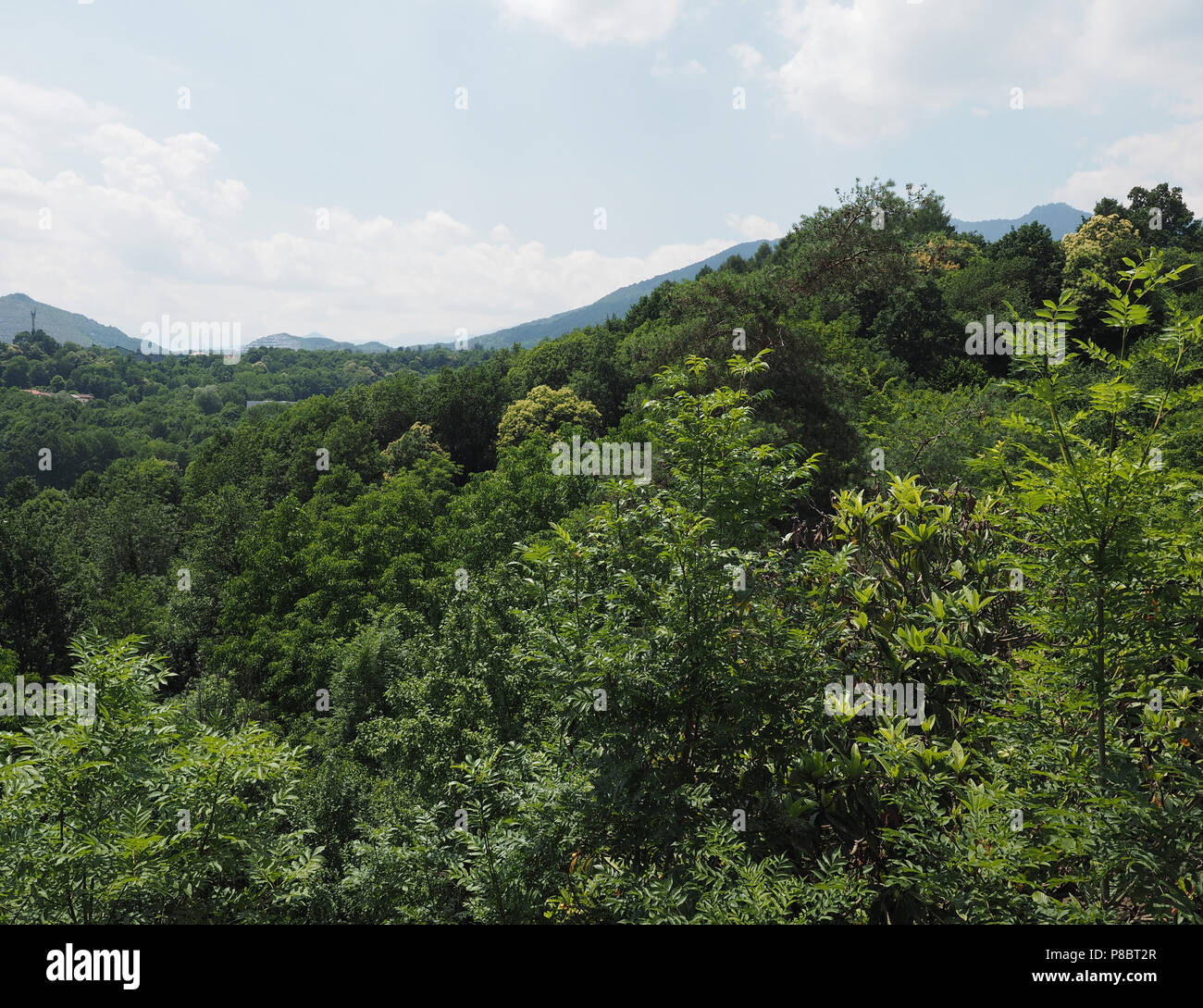 Canavese italy hi-res stock photography and images - Alamy