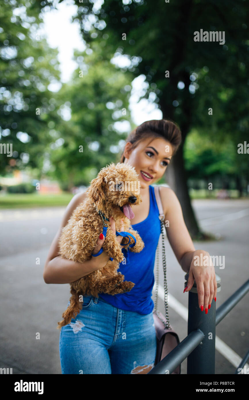 Red poodle hi-res stock photography and images - Alamy