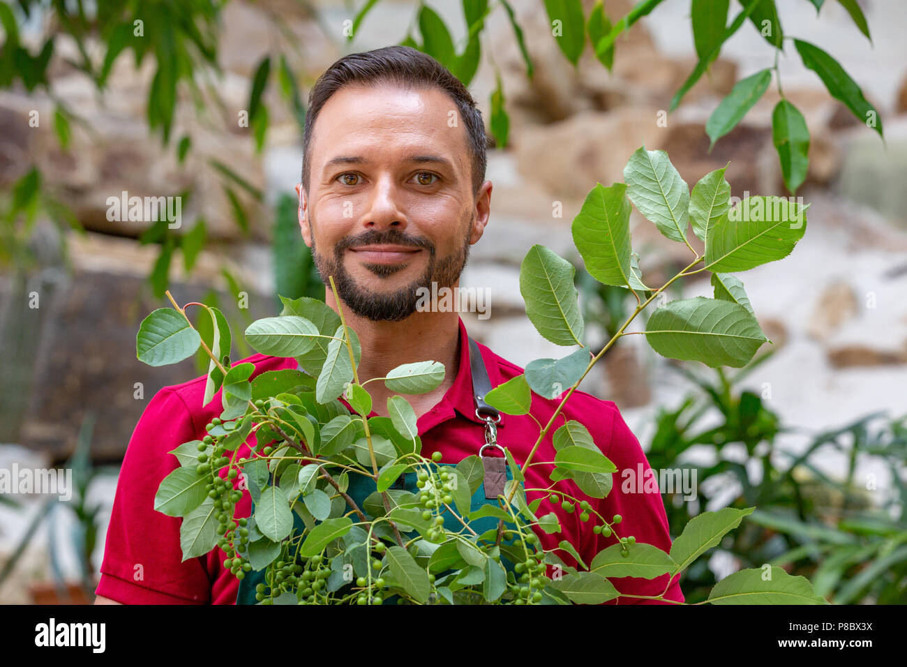Man holding young tree and prepare to plant into soil Stock Photo - Alamy